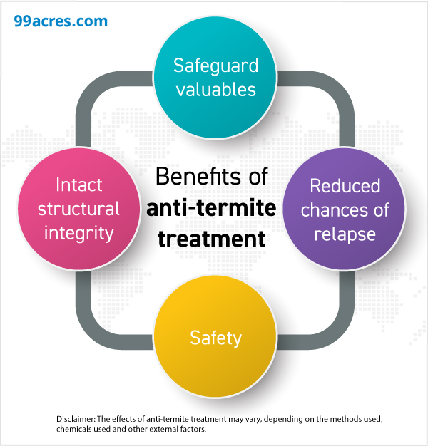 Anti-Termite Treatment: Latest Technique, Price in India in 2024
