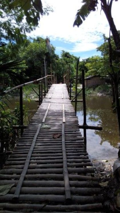 Bamboo Bridges in India (List in 2023): Know uses, durability vs cement ...