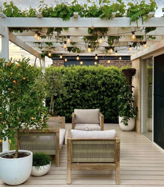 Pergola Designs: 45+ Ideas for Balcony, Terrace & Garden