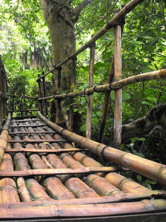 Bamboo Bridges in India (List in 2023): Know uses, durability vs cement ...