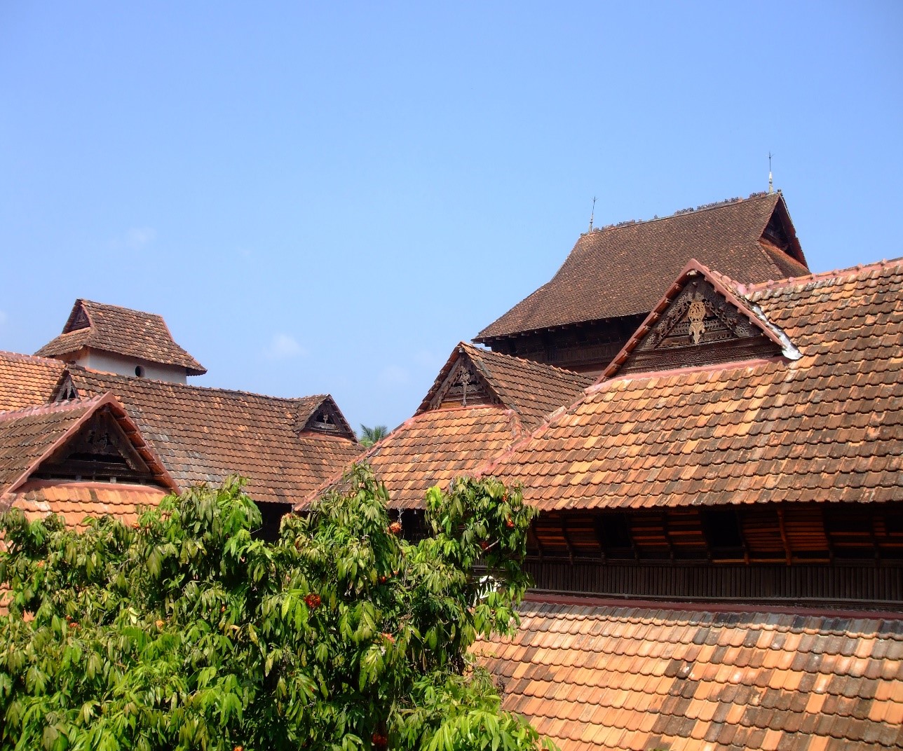 Gable Roofs: Definition, Types, Uses, Advantages & Disadvantages