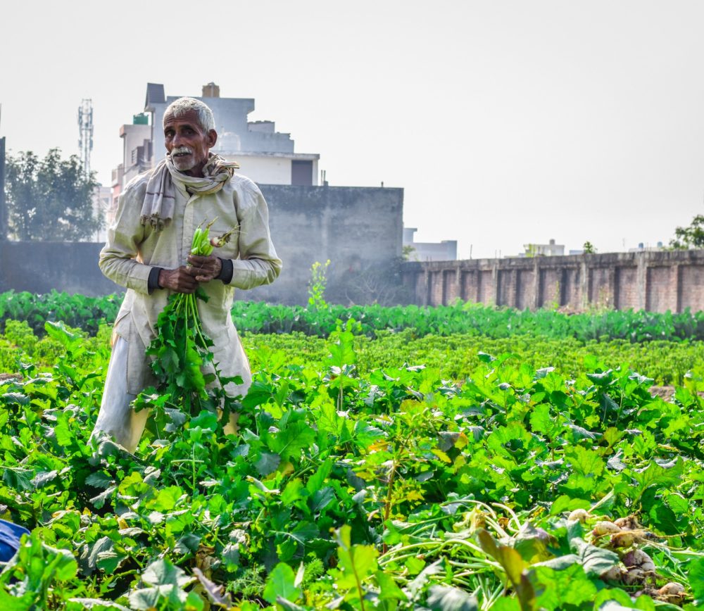 EWS Certificate Haryana: Eligibility, Documents, Application Procedure ...