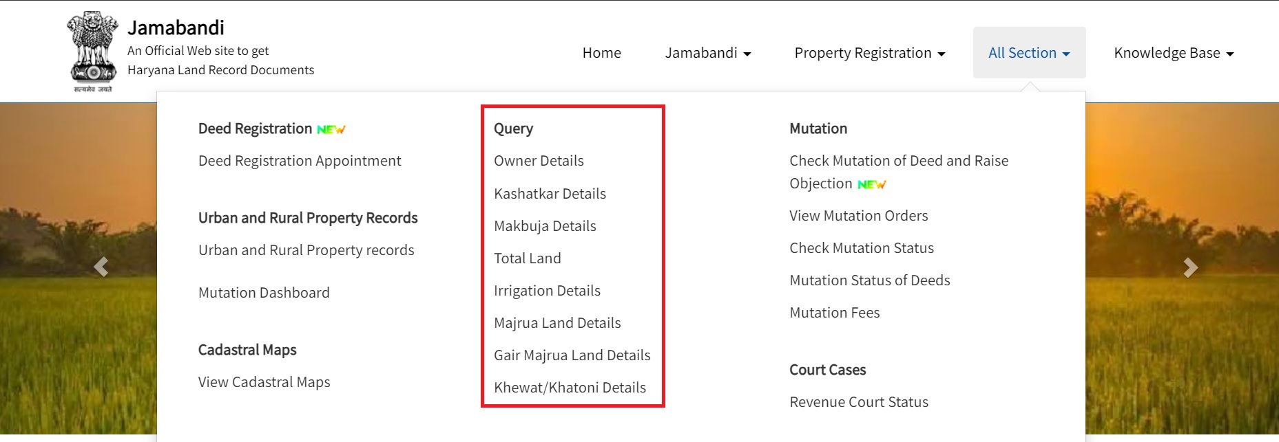 Haryana Bhulekh Jamabandi: How to View Land Records, Jamabandi Nakal Online (2024)