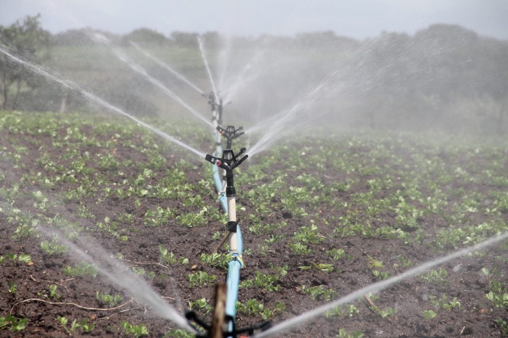Chahi Land: Meaning in English, Types & Major Challenges