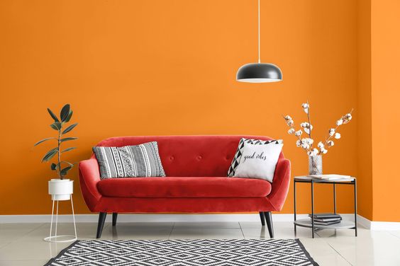 40+ Sofa Colour Trends: Combinations with Varied Wall Colours