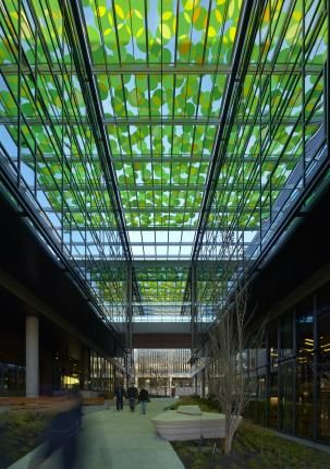 30+ Modern Glass Ceiling Designs: Ideas for Bedroom, Bathroom