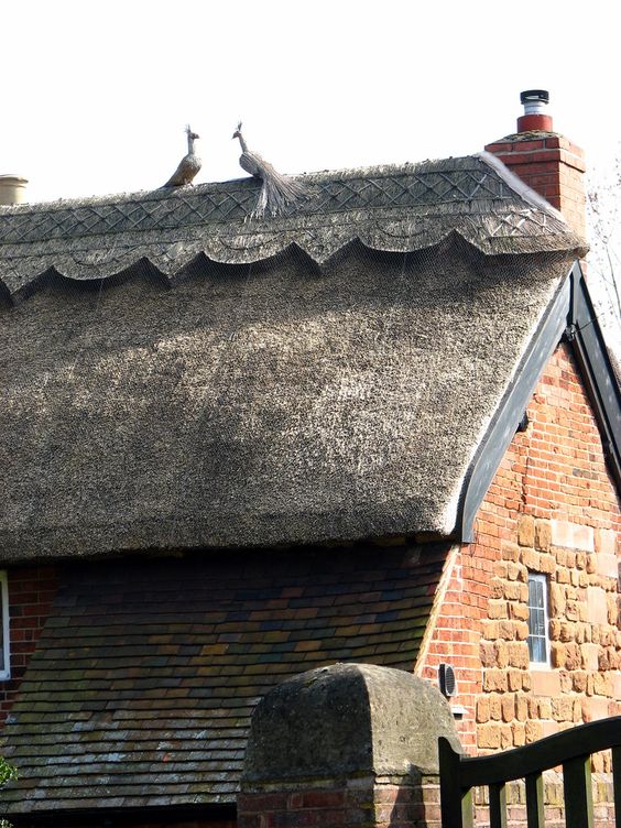 5 Thatched Roof Designs: Ideas, Benefits & More
