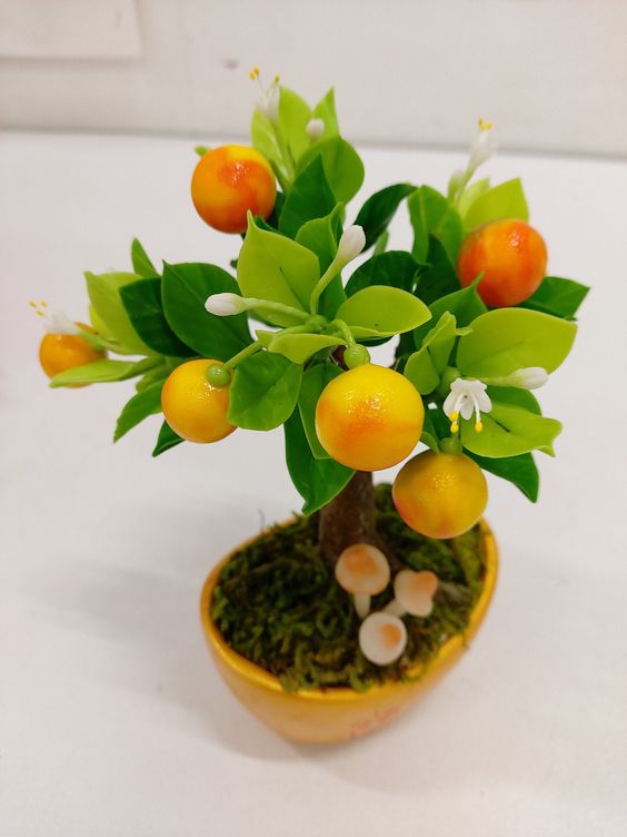 15+ Feng Shui Gifts for New Home: Different Rooms, Importance