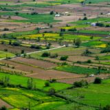 Naib-Tehsildar: Meaning, Role & Responsibilities in India