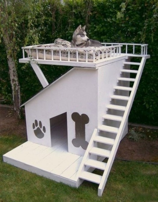 15+ Dog house design ideas for indoors and outdoors