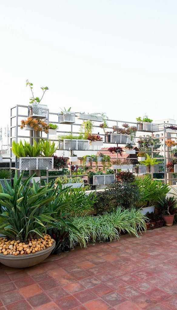 Upgrade Your Terrace: 35+ Inspiring Design Ideas