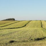 What is Undivided Share of Land: Meaning, Calculation